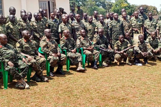 Training UPDF Training UPDF