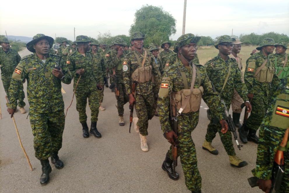 Training - UPDF